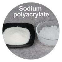 China Industrial-Grade Sodium Polyacrylate Super Absorbent (CAS 9003-04-7) – Enhanced Sodium Polyacrylate Polymer Technology for sale
