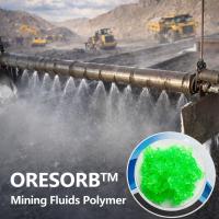 China Custom-Engineered Super Absorbent Polymer for High-Capacity Water Absorption in Mining with Environmentally Responsible Design for sale