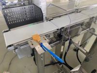 China High Speed Conveyor CheckWeigher for production line auto weight sorting process for sale