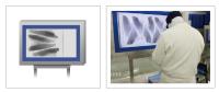 China Auto conveyor X Ray inspetion detector 4080F for Food, Fish Bones inspection for sale