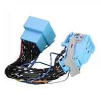 China Custom 18AWG Car Stereo Radio ISO Wiring Harness 30Pin Female to 8Pin Male 160mm for sale