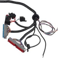 China 12V 4L60E LS1 Standalone Engine Wiring Harness 1997-2006 DBC for sale