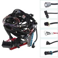 China 12V 4L60E LS1 Standalone Engine Wiring Harness 1997-2006 DBC for sale