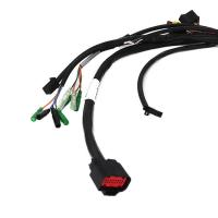 China OEM Electrical Motorcycle Wire Harness Customized Length Color for sale
