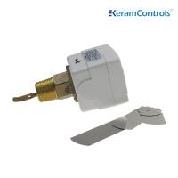 China Stainless Steel Flow Switch 1 Inch IP65 for HVAC Liquid Flow Control for sale