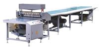 China Manual Feeding Gluing Machine with Convoyer Belt / Gluing Machine for sale