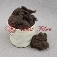 China Short dark brown yakwool/yak down for sale