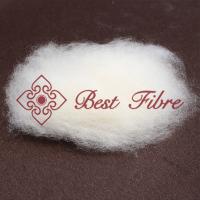 China White cashgora for sale