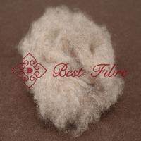 China Brown Cashgora for sale