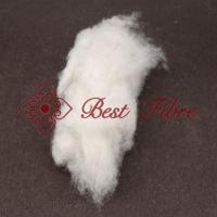 China Light camel hair for sale