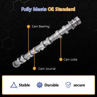 China Hot Sell High Quality Engine Exhaust Camshaft Oem12627159 for Lacrosse Ats Colorado Malibu 2013 2.5 for sale