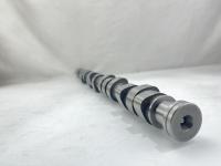 China Auto Part WL84-12-420 WL31-12-420 Automobile Camshaft for Ford RANGER 2.5d WL 99-06 for Mazda B-SERIE 2.5D 4WD WLE7 96-99 for sale