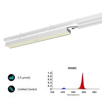 China HPS Replacement Commercial Greenhouse Lighting High Efficiency 3.5umol/J R95B5 Spectrum for sale