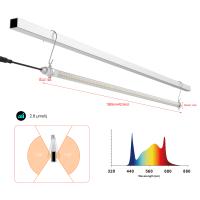 China High Wire Cultivation Foldable Led Grow Light  Commercial Greenhouse Led Lighting for sale