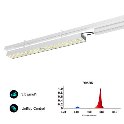China 720W Linear Greenhouse Led Grow Light High Efficacy greenpower led toplighting for sale
