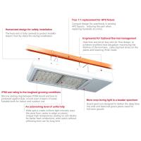 China High Performance Greenhouse LED Grow Light For Commercial Horticulture Cultivation for sale