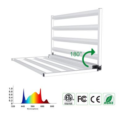 China Large Scale Commercial Greenhouse Led Grow Light Mutiple Light Daisy Chain for sale