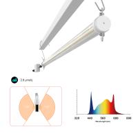 China T8 Tube LED Cultivation Light Bidirectional Light Output for sale