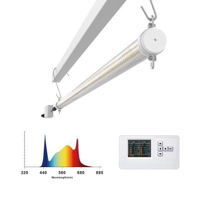 China Linkable t8 grow lights 4ft Red Blue Spectrum For Food Cultivation Indoor Growing for sale