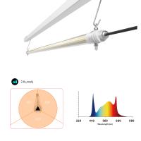 China T8 Tube LED Cultivation Light For Leaf Green Crops 360 Degree Beam Angle for sale