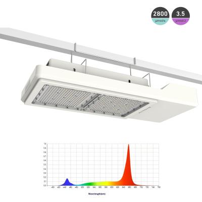 China 800W Indoor Grow Lights 1:1 Replace HPS Layout Longer Lifespan 50000 Hours for sale