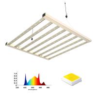China Powerful Efficient Indoor LED Grow Light 1000W 2.8 Umol/J Grow Light For Indoor Gardening for sale