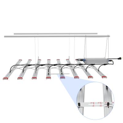 China XT800 Indoor LED Grow Light Targeted Full Spectrum For Medicinal Plants Industry for sale