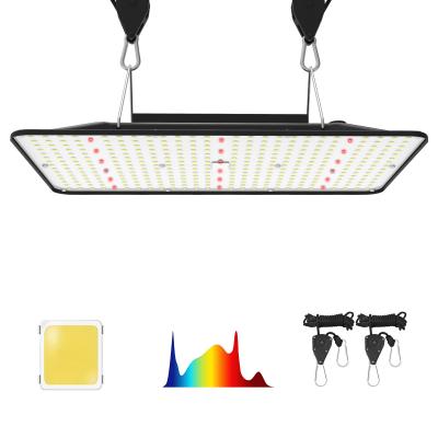 China Indoor Cultivation Quantum Board Led Grow Light For European Market for sale
