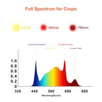 China New Release Full Spectrum Quantum Board Plant Led Grow Light For Indoor for sale