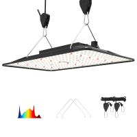 China Dimmable Baylabs XMAN1000 Indoor Led Grow Light 100W 2.7 Umol/J for sale
