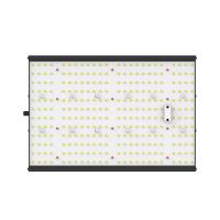 China 100W Dimmable Black Aluminum LED Grow Light With 288 White LEDs For Full Spectrum Plants for sale
