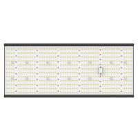 China Grow Tent With Package Dimension 530*220*60 Mm White 576LEDS 0.5W Deep Red 46PCS IR 2PCS for sale