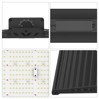 China Samsung Osram Full Spectrum LED Grow Light With Passive Thermal Management for sale