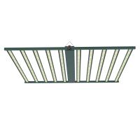 China Commercial LED Grow Light For 4x6ft Coverage Area Daisy Chain And 50-60Hz Frequency for sale