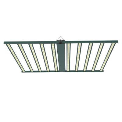 China Commercial LED Grow Light For 4x6ft Coverage Area Daisy Chain And 50-60Hz Frequency for sale