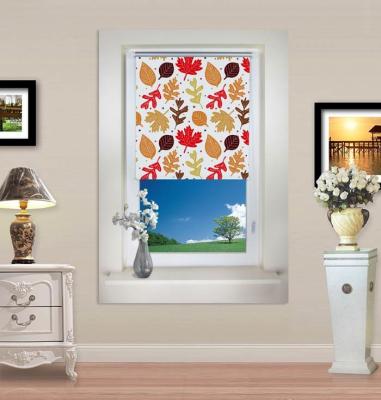 China Patterned Printed Blinds For Windows Waterproof noninvasive mounting for sale