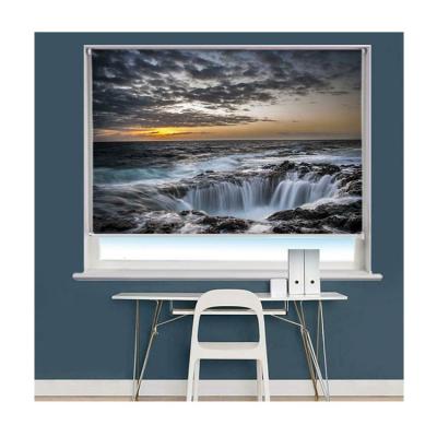 China Electric Control Wifi Drawing room window 3d roller digital printing blinds for sale