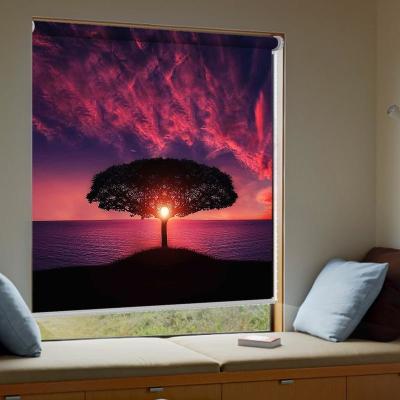 China Blackout Roller Shades for Smart Home and Office Print Motorized Shades for sale