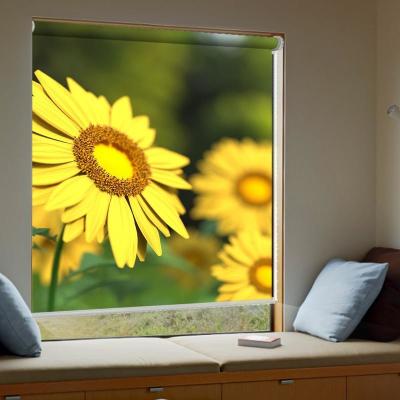 China China Supplier Window Curtain 3D Printed Roller Shade European Cartoon Cute Design For Living Room for sale