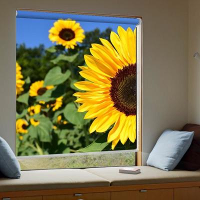 China Thermal Insulated 3d Blinds For Windows SASU Approved waterproof Fabrics for sale