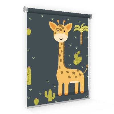 China Cartoon Pattern  3d printed horizontal and industrial manual roller blind for sale