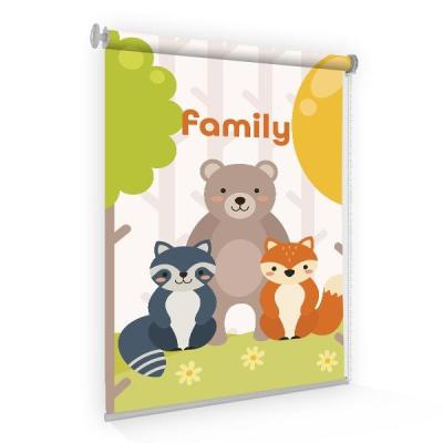 China Vertical Blockout Double Roller Blinds Printed Anti Noise Top Install for sale