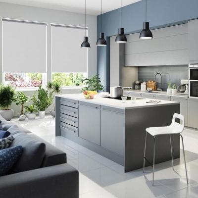 China Blockout Double Roller Blinds 250cm Width Dust Resistance Plain Type for sale