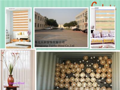 China fashion day night zebra roller blind for sale