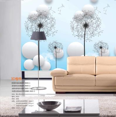 China Roller blinds and fabric,Saudi Arabia blackout roller shades,digital printed roller blinds,ready made roller blinds for sale