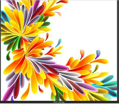China Print Roller Blinds Shades Window Blinds roller blind with printing Min. Order: 200 Meters for sale