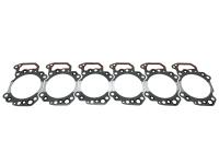 China 6D125-N For Komatsu Head Gasket Forklift Excavator Engine for sale