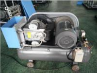 China Environmental Protection Oil Free Compressor With Super Silent Body Housing for sale