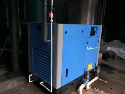China Papermaking Printing Screw Oilfree Air Compressor for sale