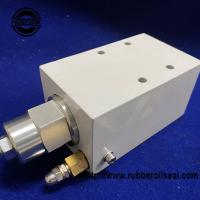 China SUN CBIG LCV Cast Iron Counter Balance Valve for Marine Hydraulic Systems - High Temperature Rated for sale